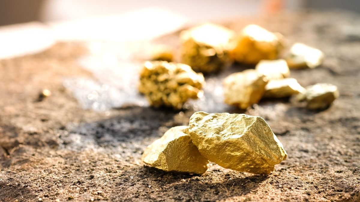 Descubren yacimiento de oro de gran pureza en una región inexplorada de ...