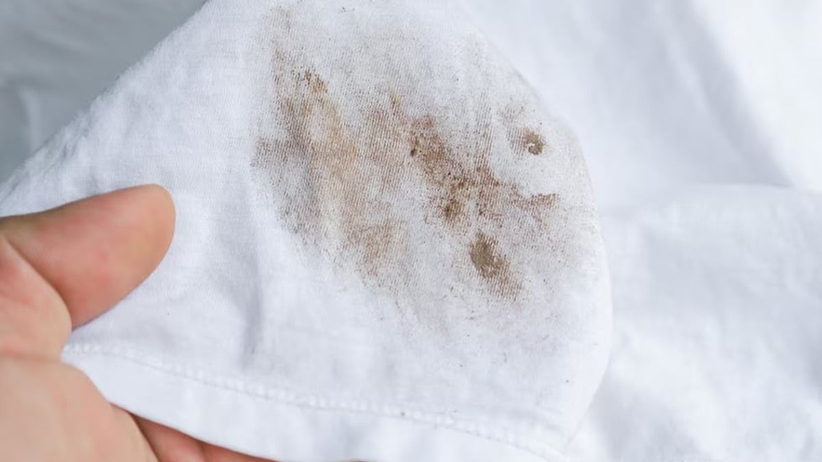 El mejor método para eliminar las manchas de moho de la ropa para siempre