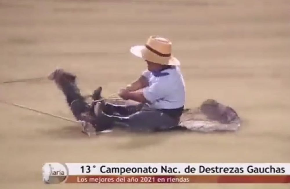 Furor por “Pepo” en Jesús María 2022: la destreza gaucha que lo hizo viral