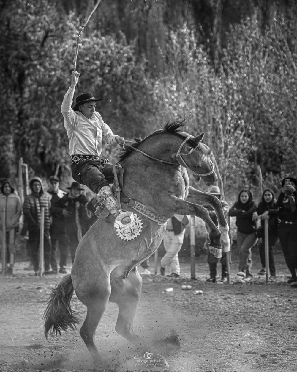 Malargüe gaucho: cómo es la muestra de fotografía que inaugura este ...