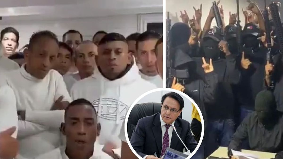 Qué se sabe del video de la banda “Los Lobos” y su rol en el crimen de ...