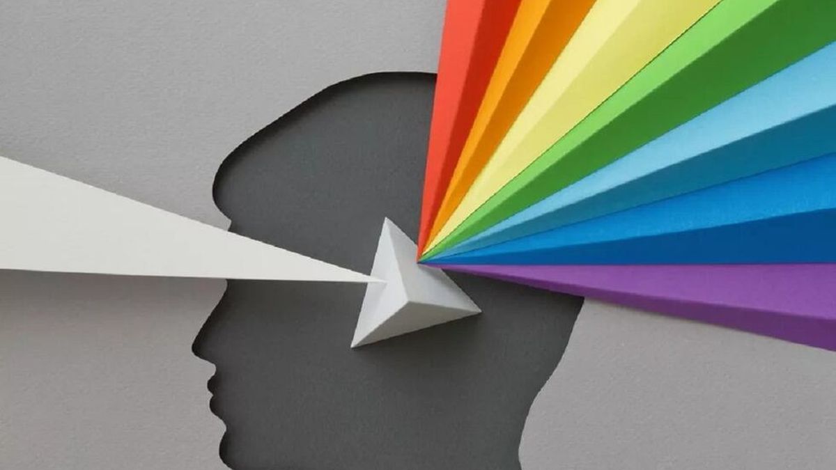 ¿Qué color elegís?: el reto visual que demuestra que tipo de persona sos