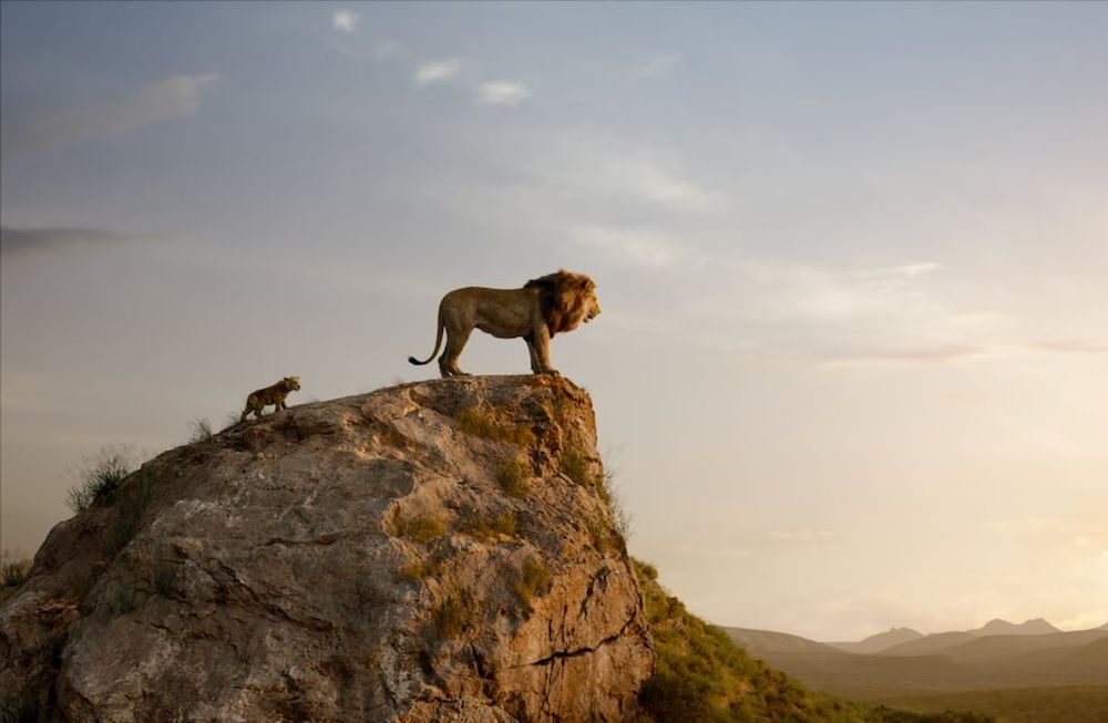 El Rey León: una fábula que renace en carne y hueso