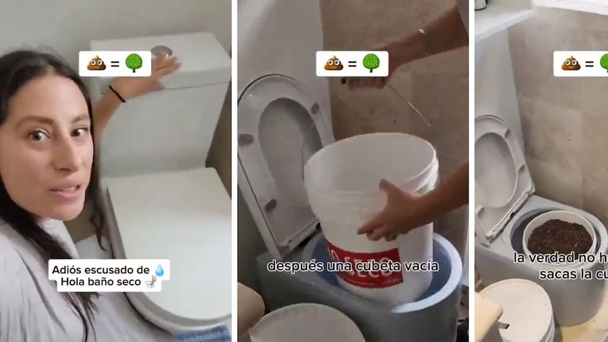 Reemplazó el inodoro de su casa por un baño seco, mostró cómo funciona ...