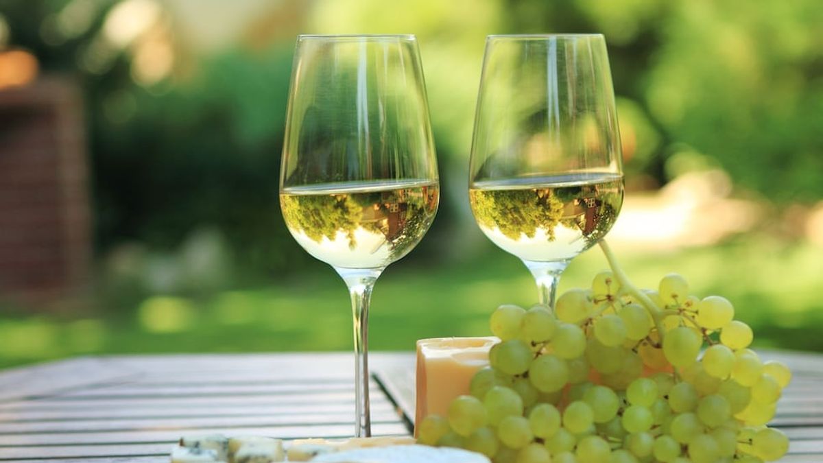 El torrontés y el misterio de su origen en la Argentina