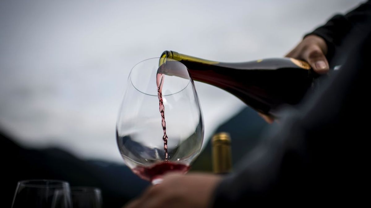 Vino con alcohol y vino sin alcohol: dos productos, dos mercados