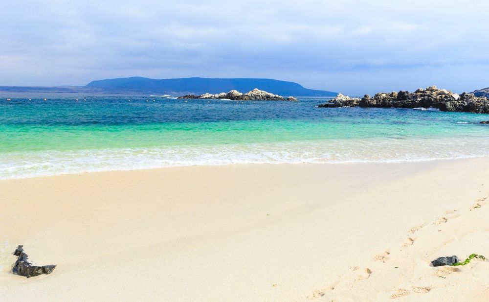 La playa caribeña de arena blanca que está en Chile y es un paraíso ...