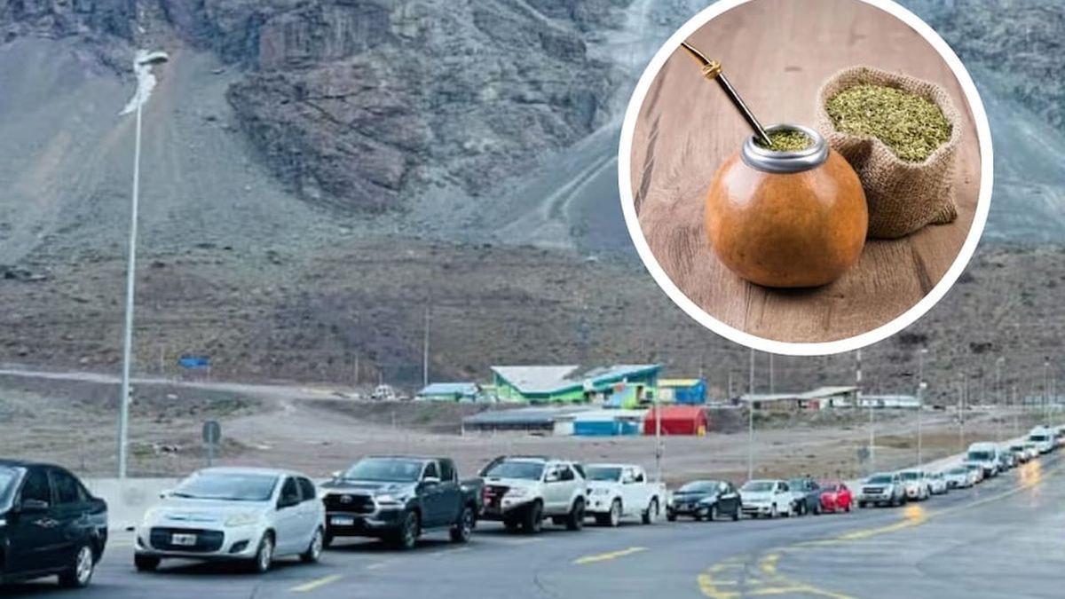 ¿Se puede pasar yerba mate a Chile? Confusión por el pedido del SAG a ...