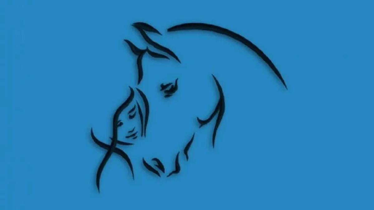 Con este reto visual podrás saber si sobresales por ser una persona ...