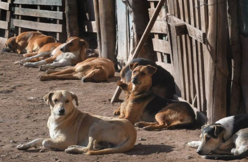 “Más de 20 millones en situación de calle”: por qué se celebra el Día ...