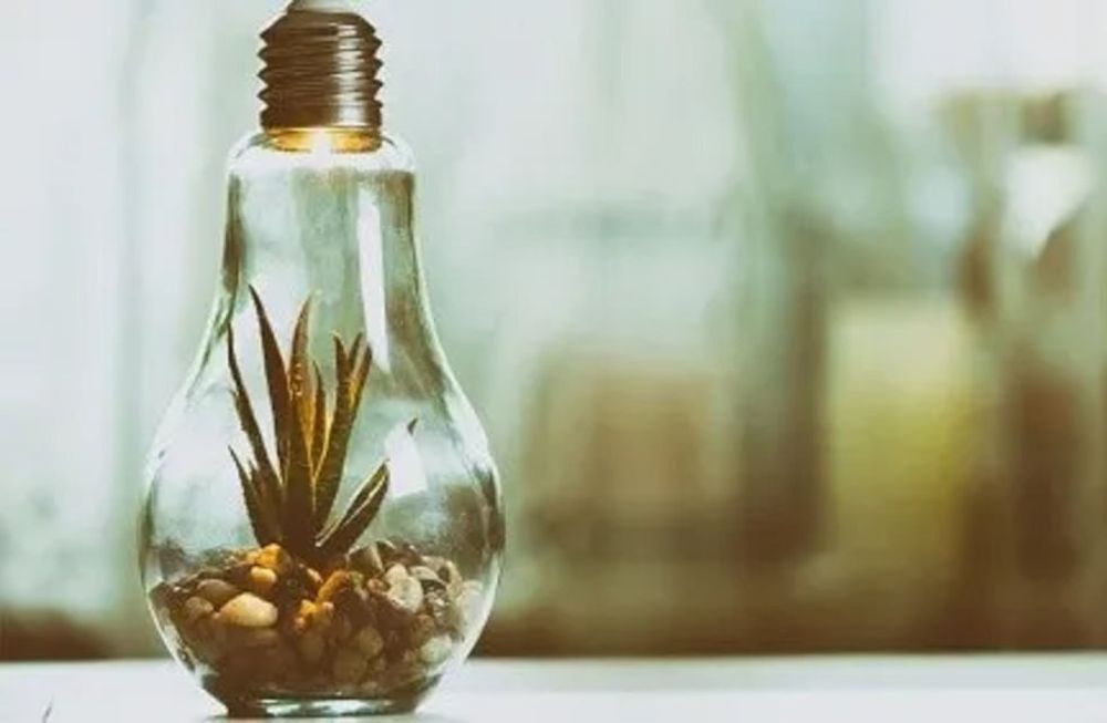 Una cafetera, un florero y otros inventos reciclados que se pueden ...