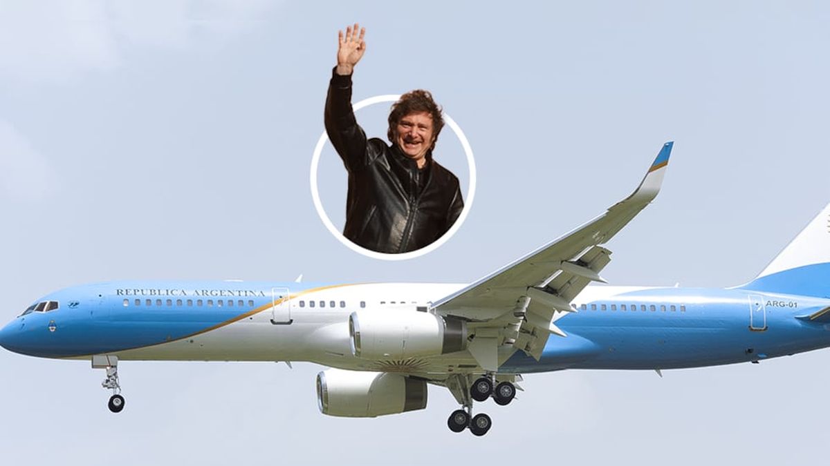 Javier Milei viaja a Los Ángeles en el polémico avión de lujo que ...