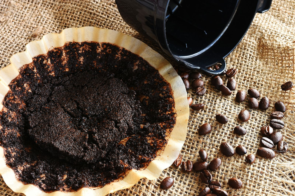 Aprovechá el café usado con este truco de reciclaje y creá una ...
