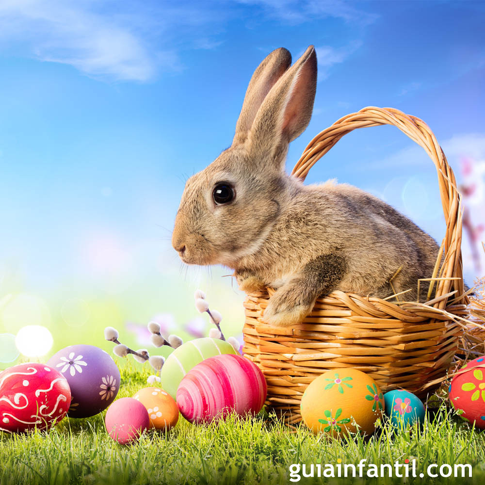 Cuál es el origen del conejo de Pascua y el significado que casi nadie ...