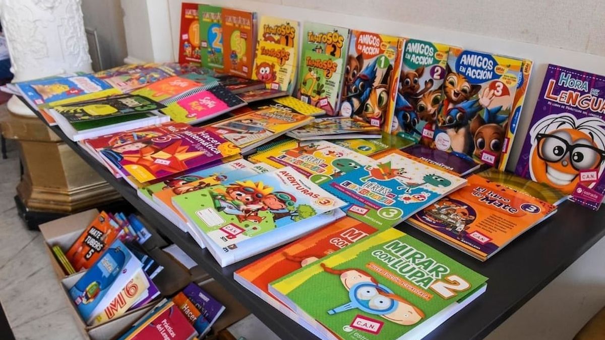 La DGE recibió más de 540 mil libros de Lengua y Matemática para las escuelas primarias
