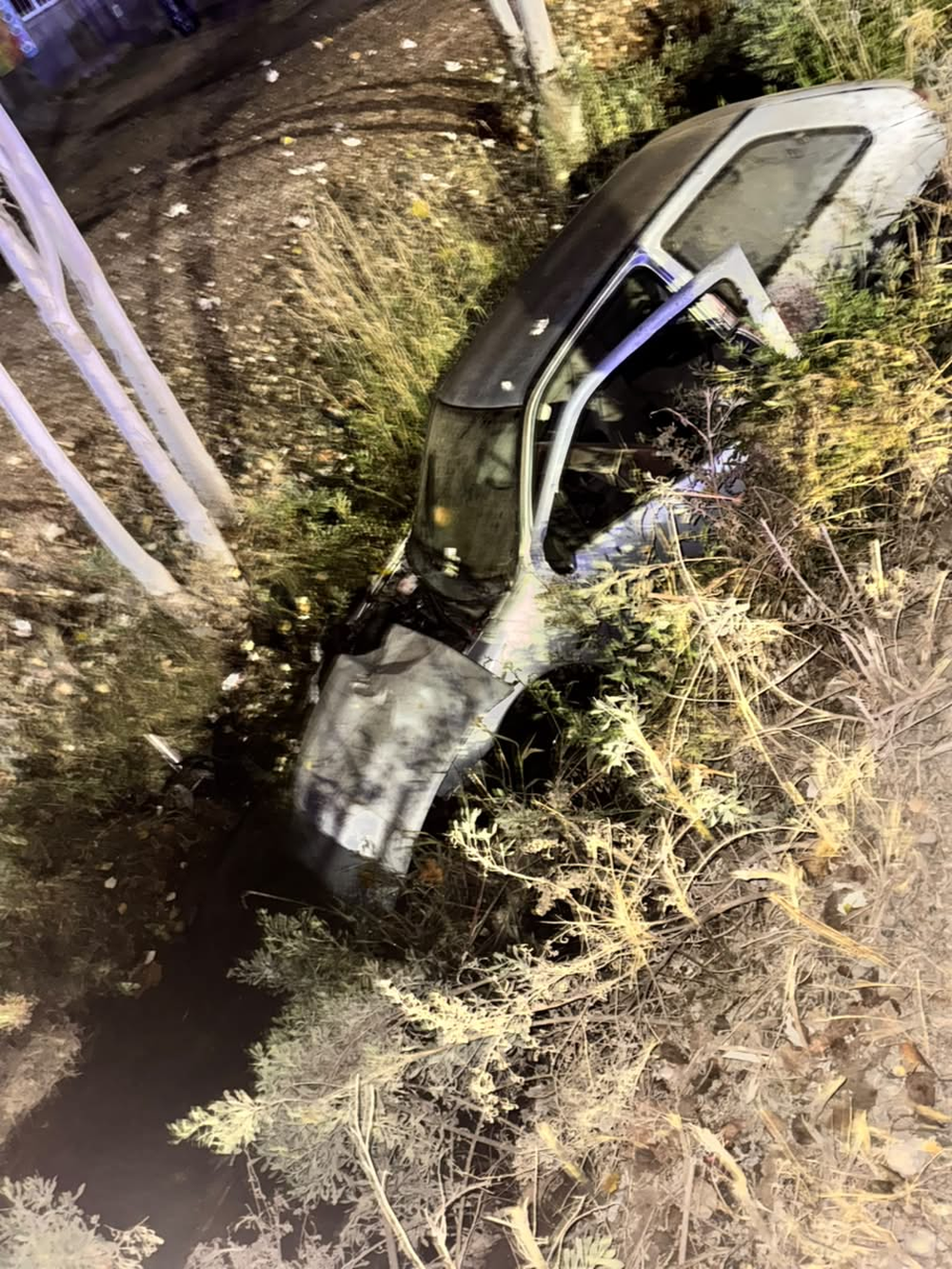 Intentó esquivar a un perro, perdió el control de su auto y terminó ...