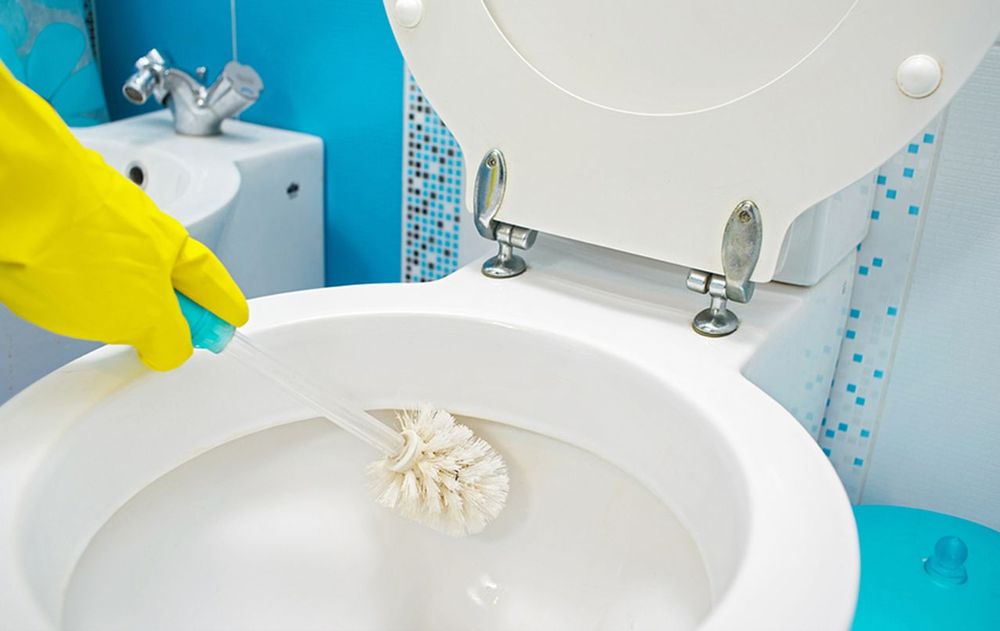 El truco definitivo: cómo limpiar el inodoro para eliminar el sarro y ...