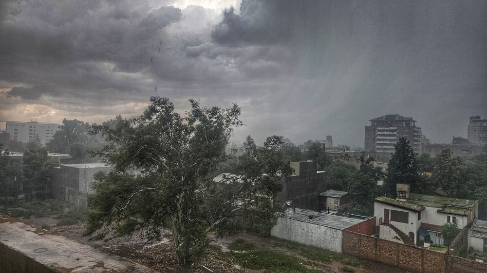 Severa tormenta en Mendoza: árboles caídos, cortes de luz y calles ...
