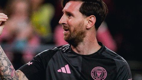 Qué raza es y cuánto vale un perro como Hulk, la mascota amada por ...