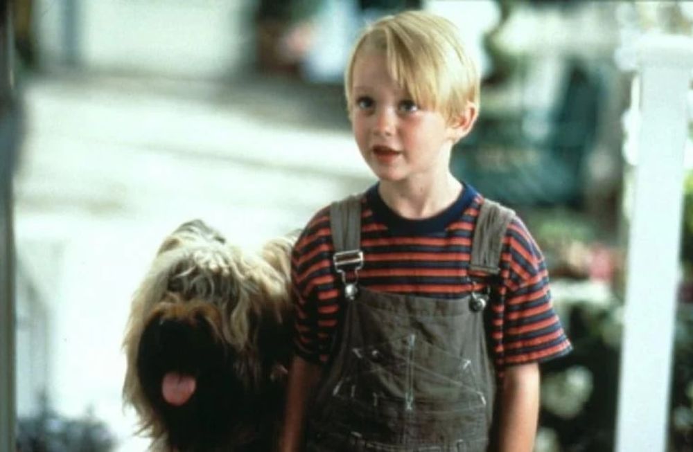 Así luce Mason Gamble, el actor que le dio vida a “Daniel el Travieso”