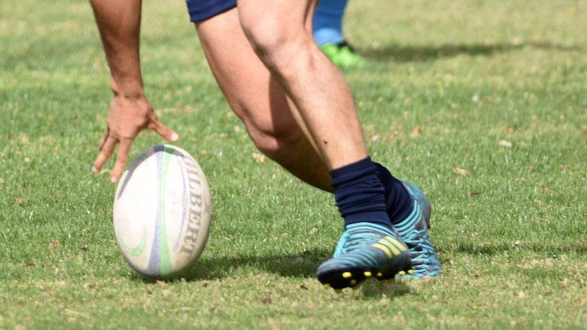 Rugby: todo lo que hay que saber de la séptima fecha del Torneo ...