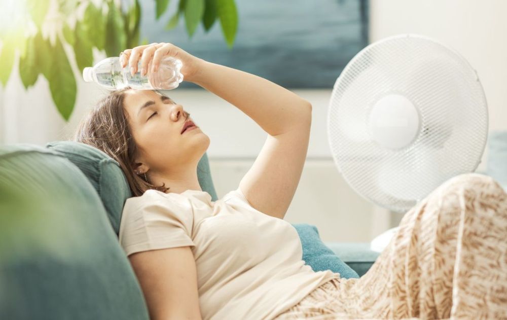 Solo con reciclar 1 botella de plástico: el truco alemán para mantener ...