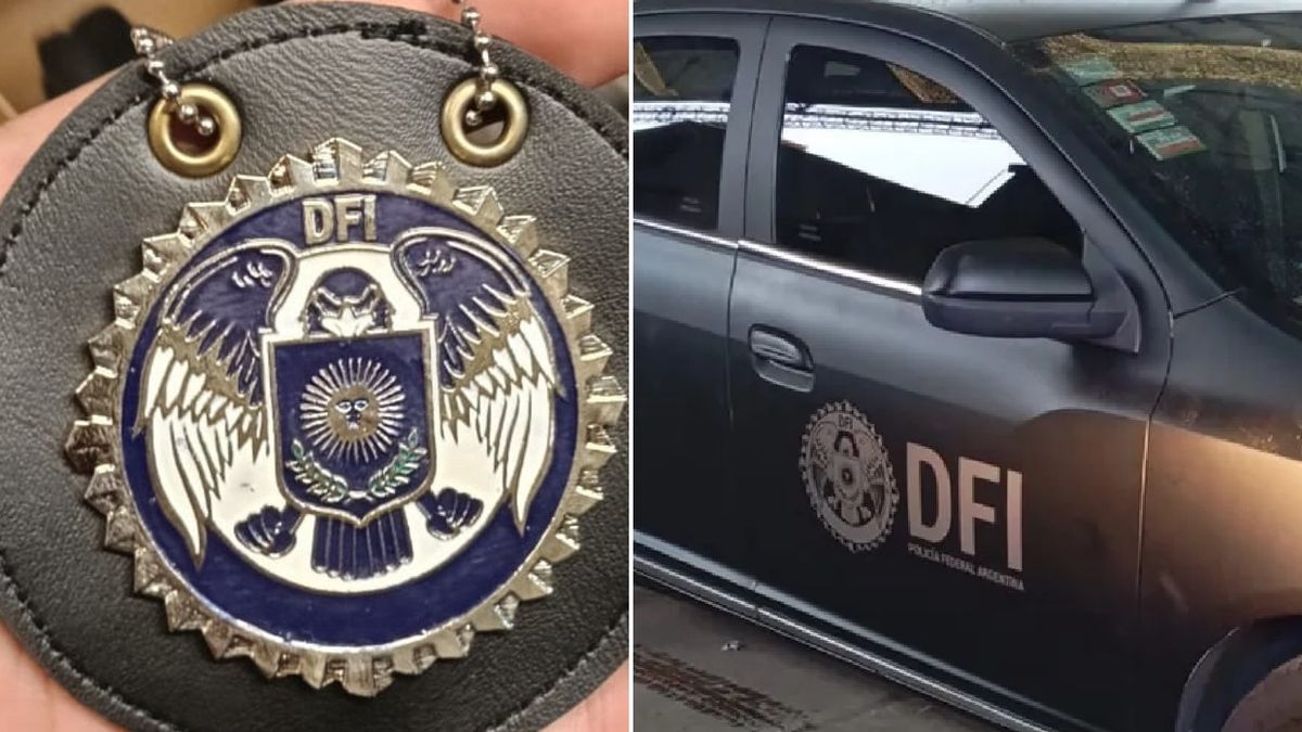 Agentes con placa: cómo es el DFI, la fuerza que Milei lanzó como el ...