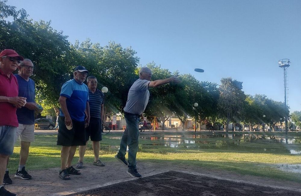 Jugar al tejo en el Olivo Histórico, el clásico de “los muchachos” en ...