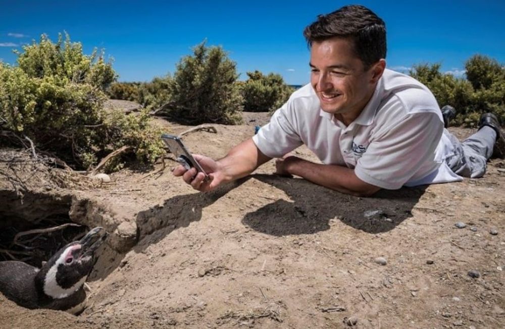 Quién es Juan Pablo García Borboroglu, el argentino premiado con el ...