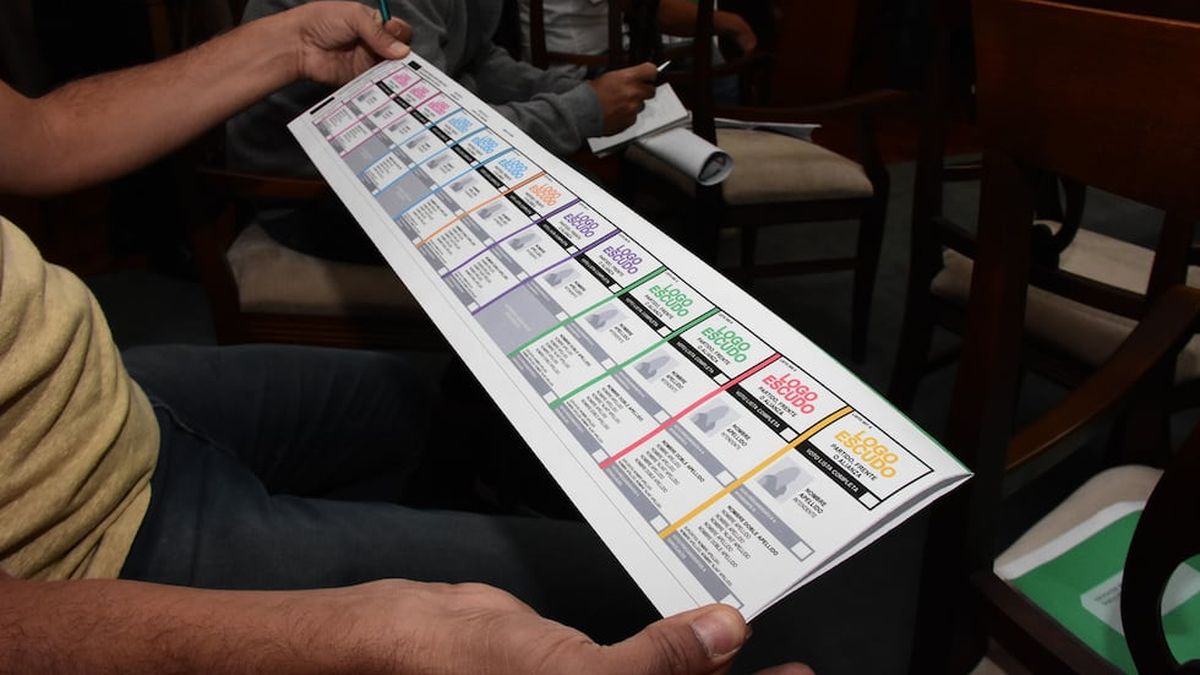 Oficial: así es la Boleta Única Papel que se usará en las elecciones ...