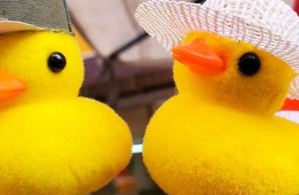Patitos Kawaii: ¿De dónde surge esta moda y por qué todo el mundo los usa?