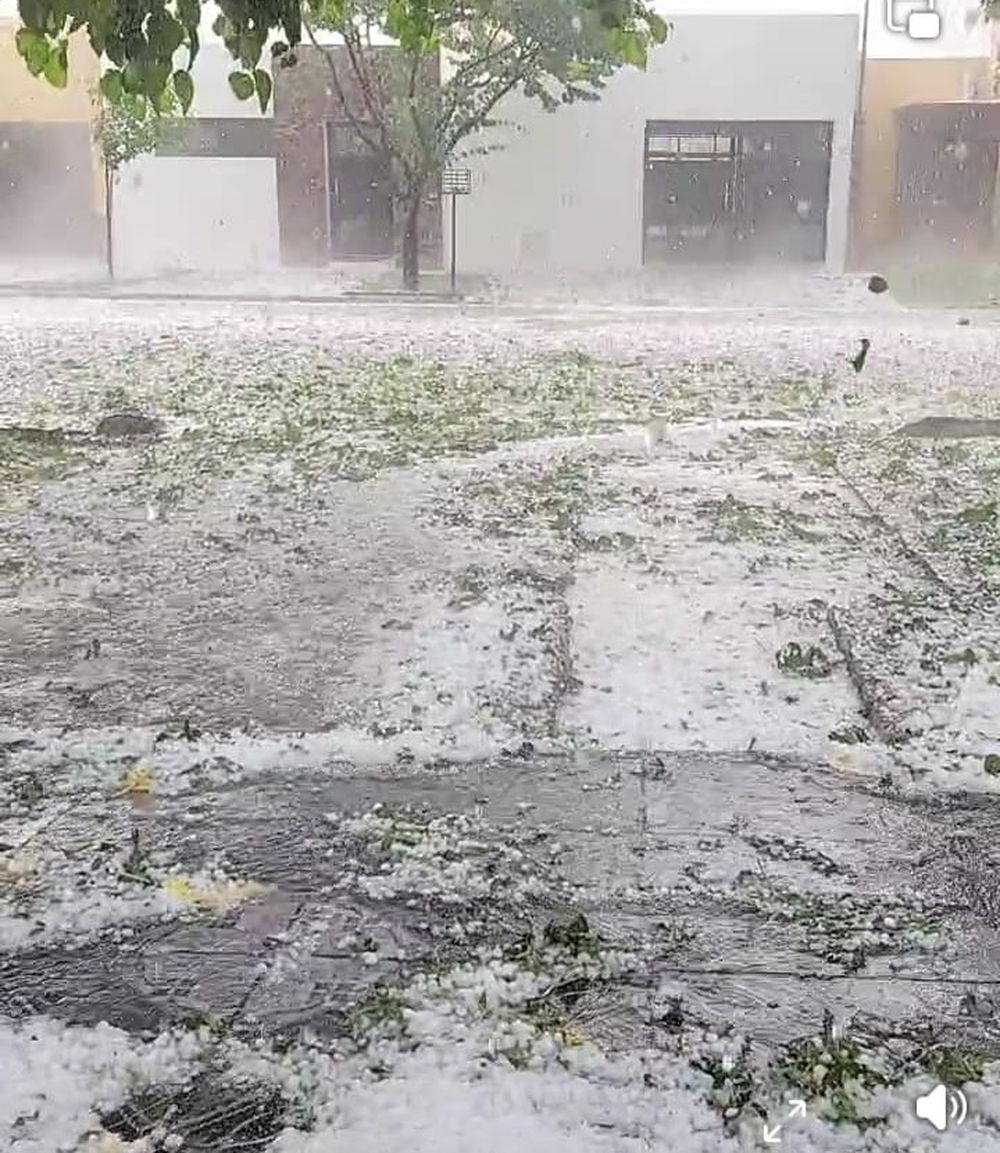Fuerte tormenta con lluvia, viento y granizo afectó a Santa Rosa y ...