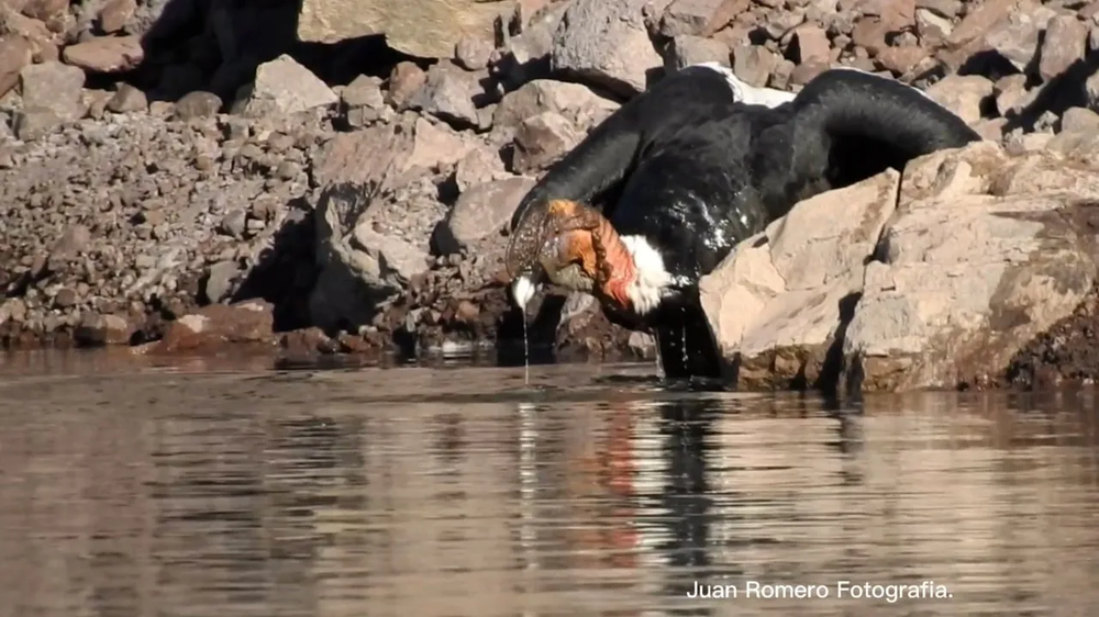 Turistas quedaron impactados con un espectáculo inusual en Valle Grande ...