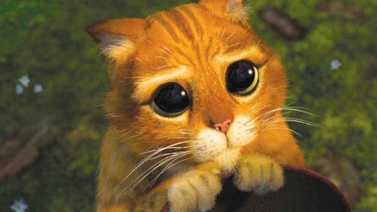 Cuál es el signo más tierno del zodíaco