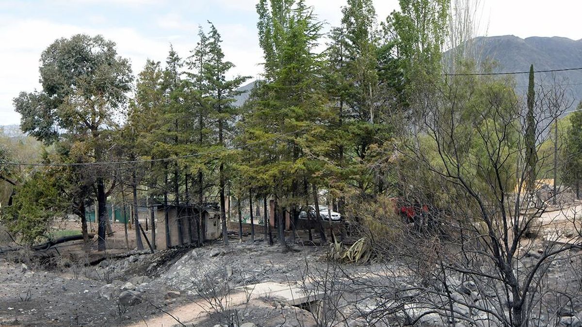 La desidia imperante