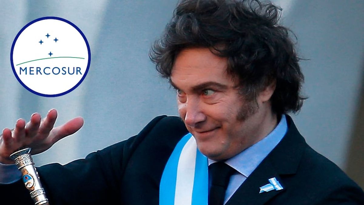 Milei evalúa no asistir a la Cumbre del Mercosur y crece la tensión con ...