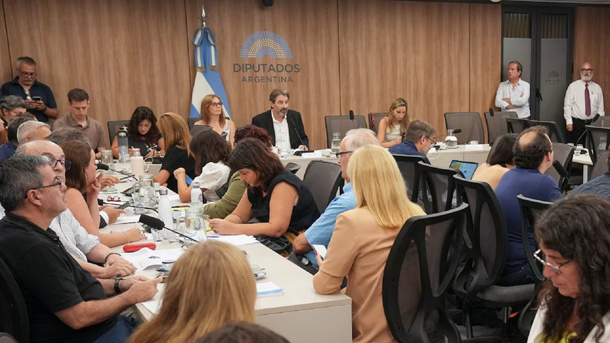 La Comisión Investigadora del caso $Libra define este miércoles su ...