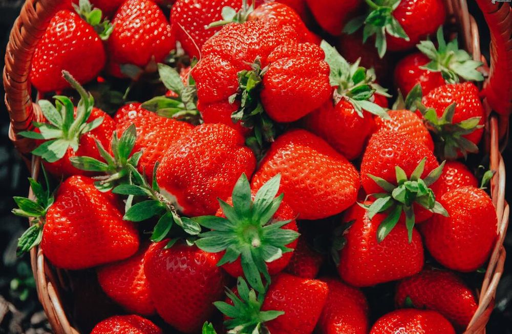 Frutillas, cuánto sale el kilo y qué se puede hacer con esta fruta