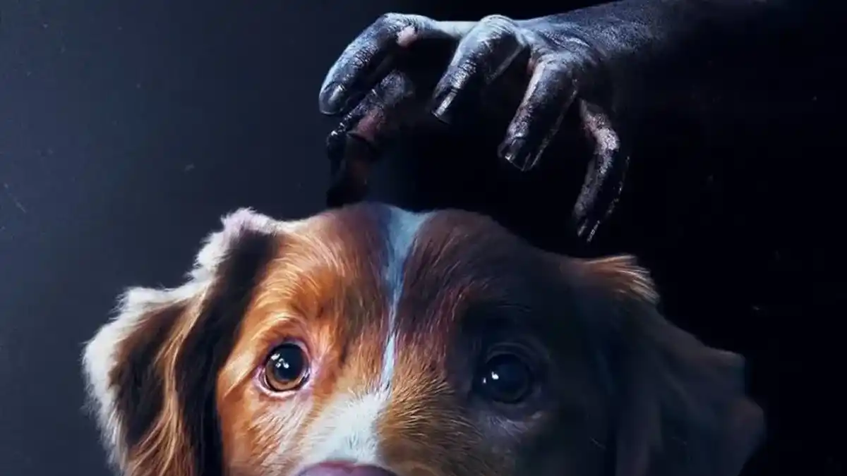 La previa de Halloween: cuáles son las mejores películas de terror del año y dónde se pueden ver