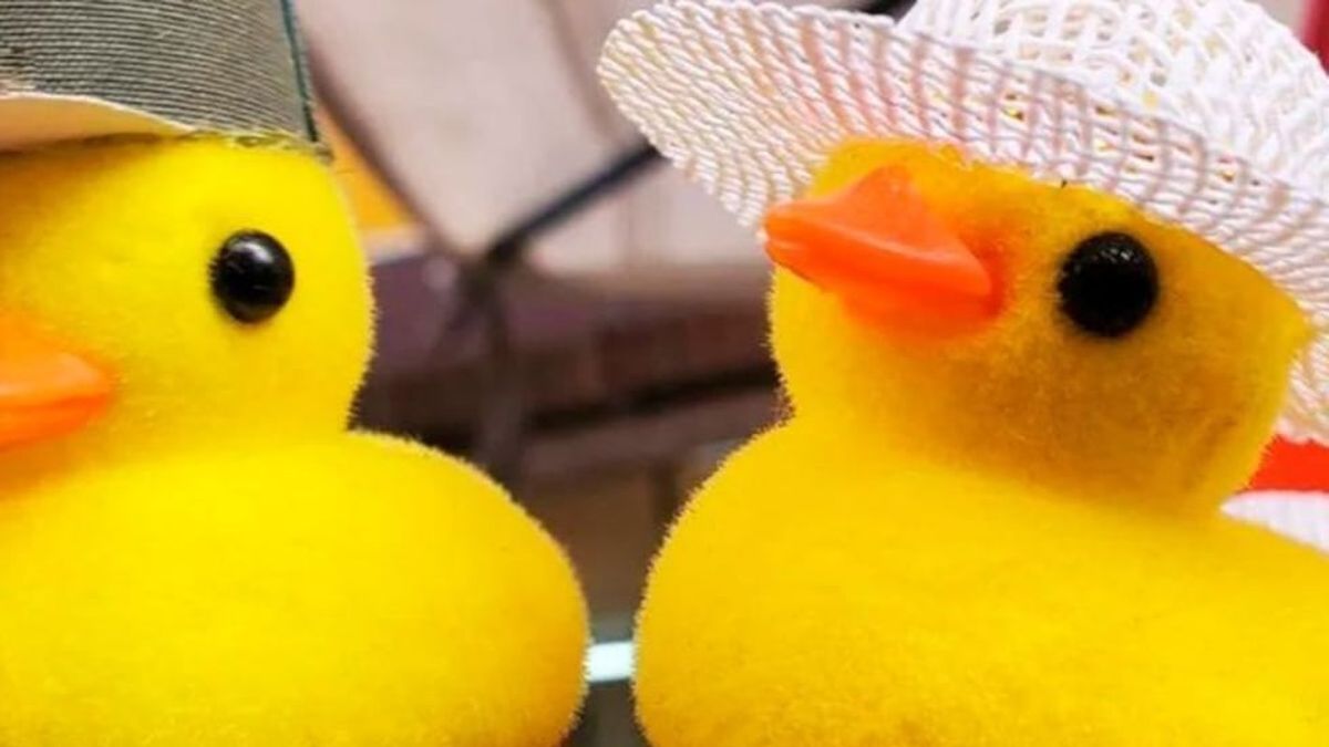 Patitos Kawaii: ¿De dónde surge esta moda y por qué todo el mundo los usa?
