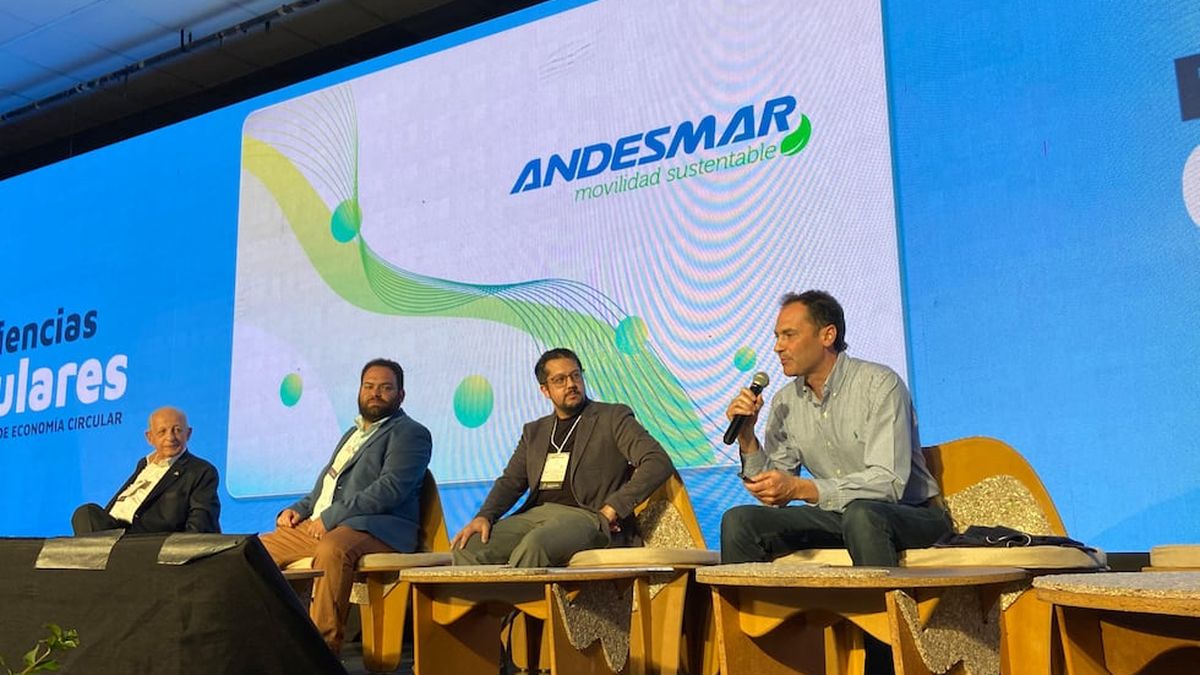 Cumbre Mundial de Economía Circular: la experiencia mendocina que marca ...