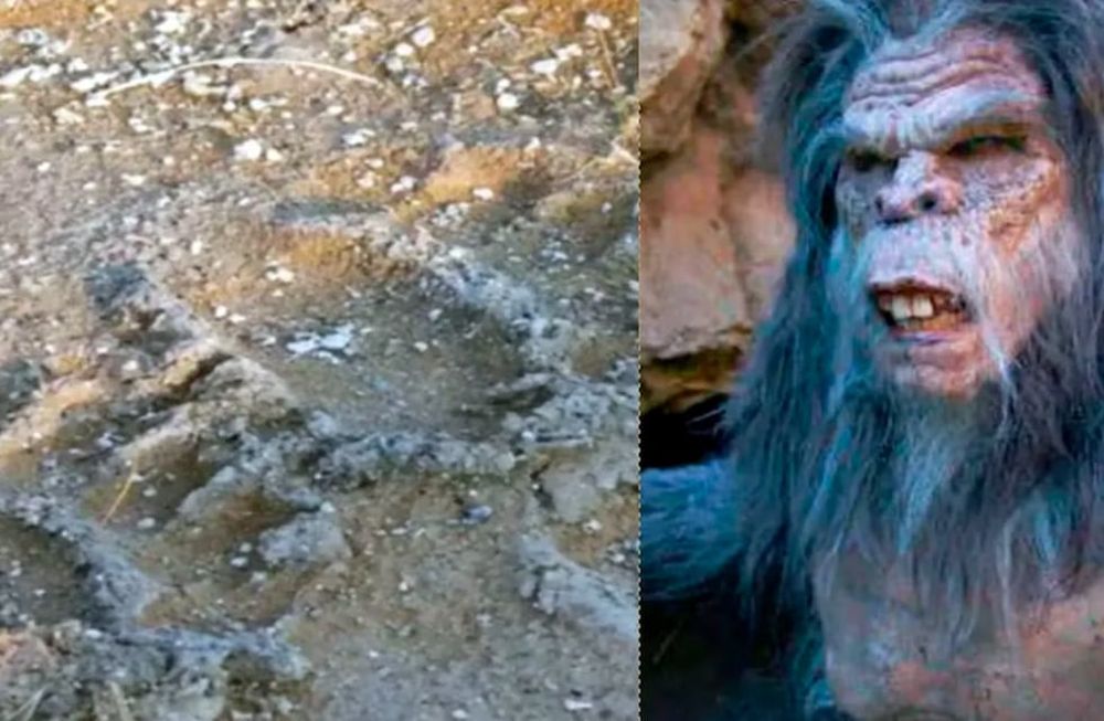 La tenebrosa aparición de El Ucumar en Salta: un chacarero contó cómo ...