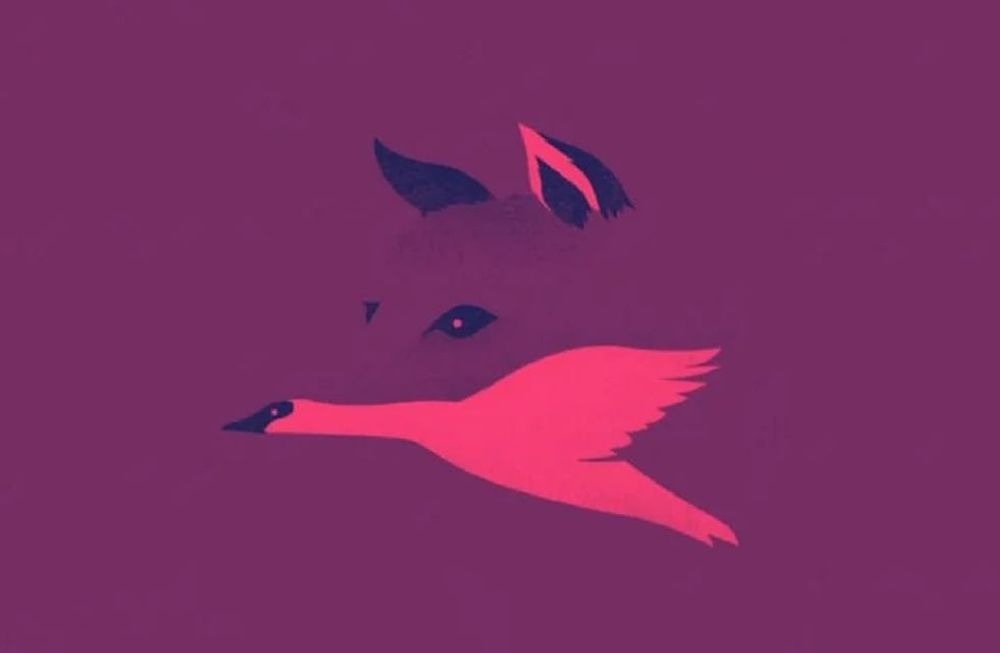 ¿Qué ves primero? El reto visual que revela si sos una persona estructurada