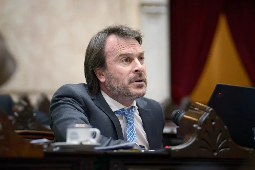 Financiamiento universitario: Nieri justificó su ausencia y pidió ...