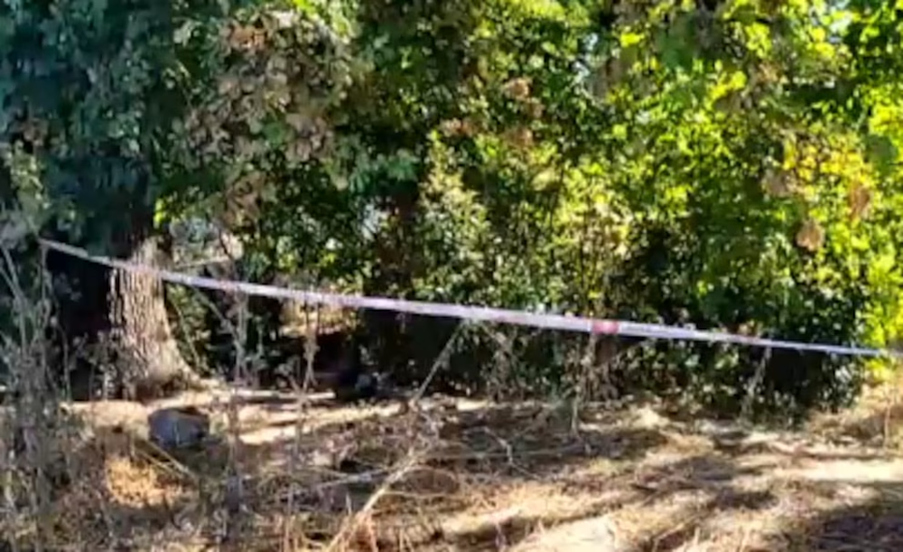 Hipótesis y autopsia de los adolescentes muertos en Florencio Varela ...