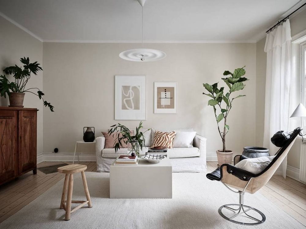 Las paredes de colores fuertes ya no se usan en un hogar a la moda: la ...