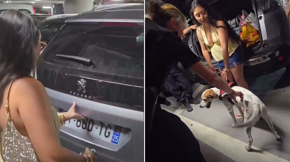 Indignación en Francia por una mujer que dejó encerrado a su perro en ...