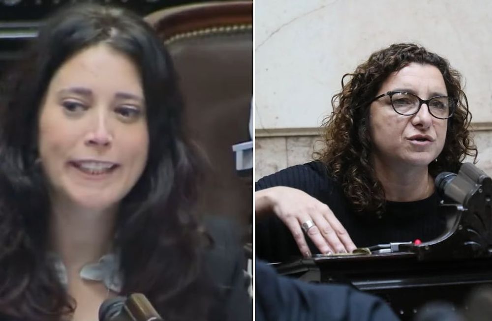 Tenso cruce en Diputados: Ajmechet acusó a Biasi de gritarle “genocida ...