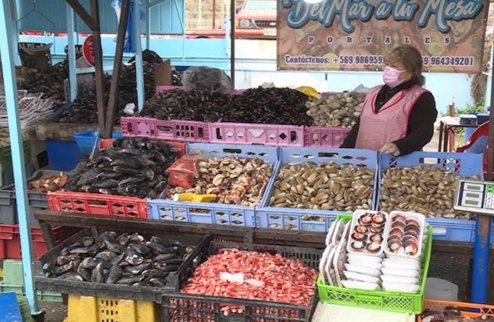 Dónde comprar pescado y mariscos directo de los pescadores en Chile ...