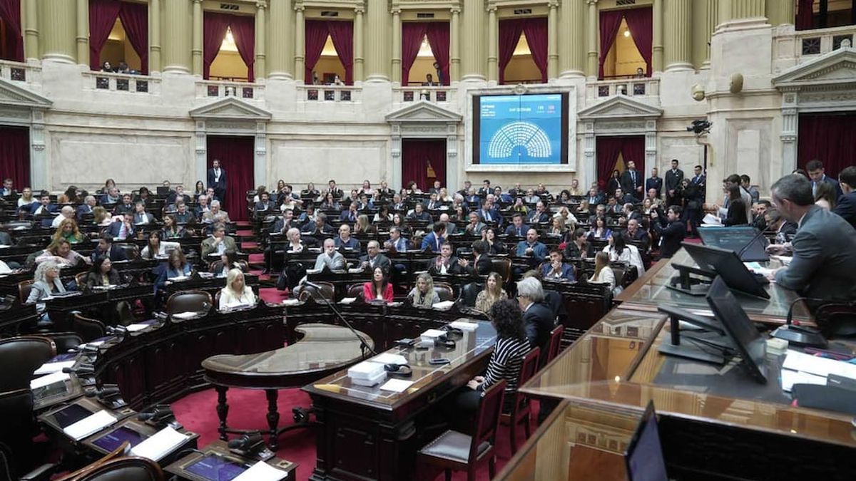 La oposición no logró el quórum en Diputados y se pospuso la sesión sobre la reforma de la ley ...